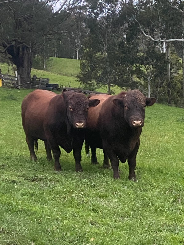 Photos 3-6 Guy and Jenny Bennett